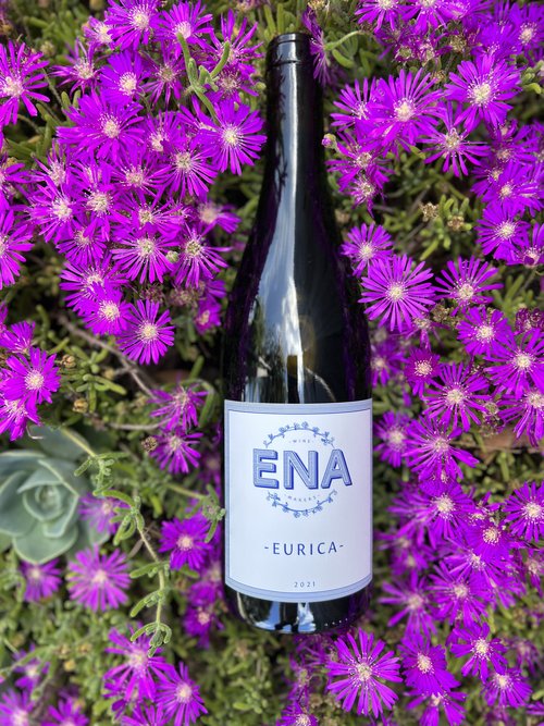 Ena Eurica Primitivo – PlumpJack Wine and Spirits